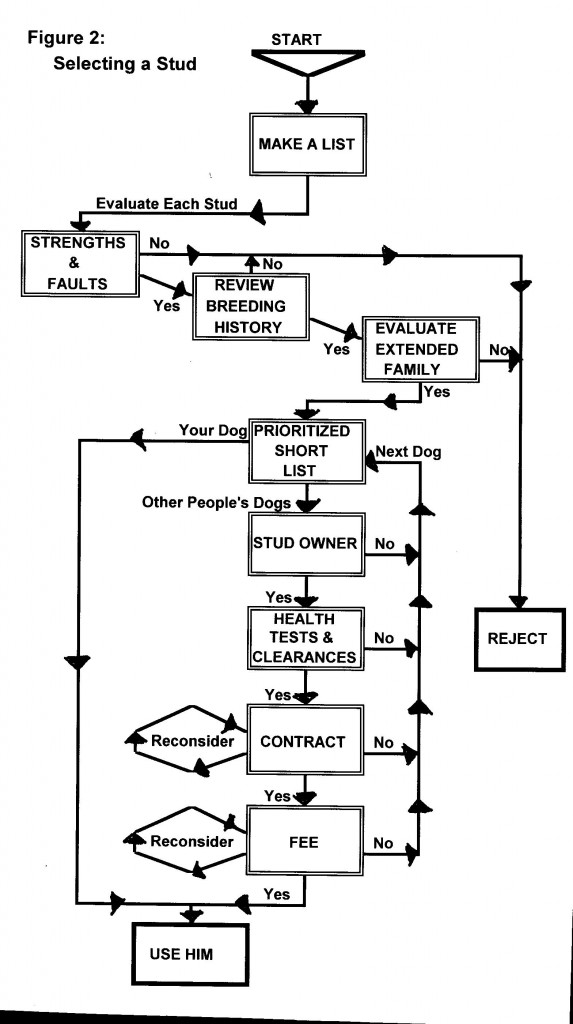 The Decision Tree - Australian Shepherd Health & Genetics Institute