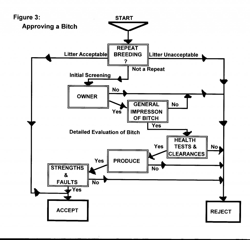 The Decision Tree - Australian Shepherd Health & Genetics Institute