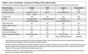 Understanding Merle and the Science Behind It - Australian Shepherd ...
