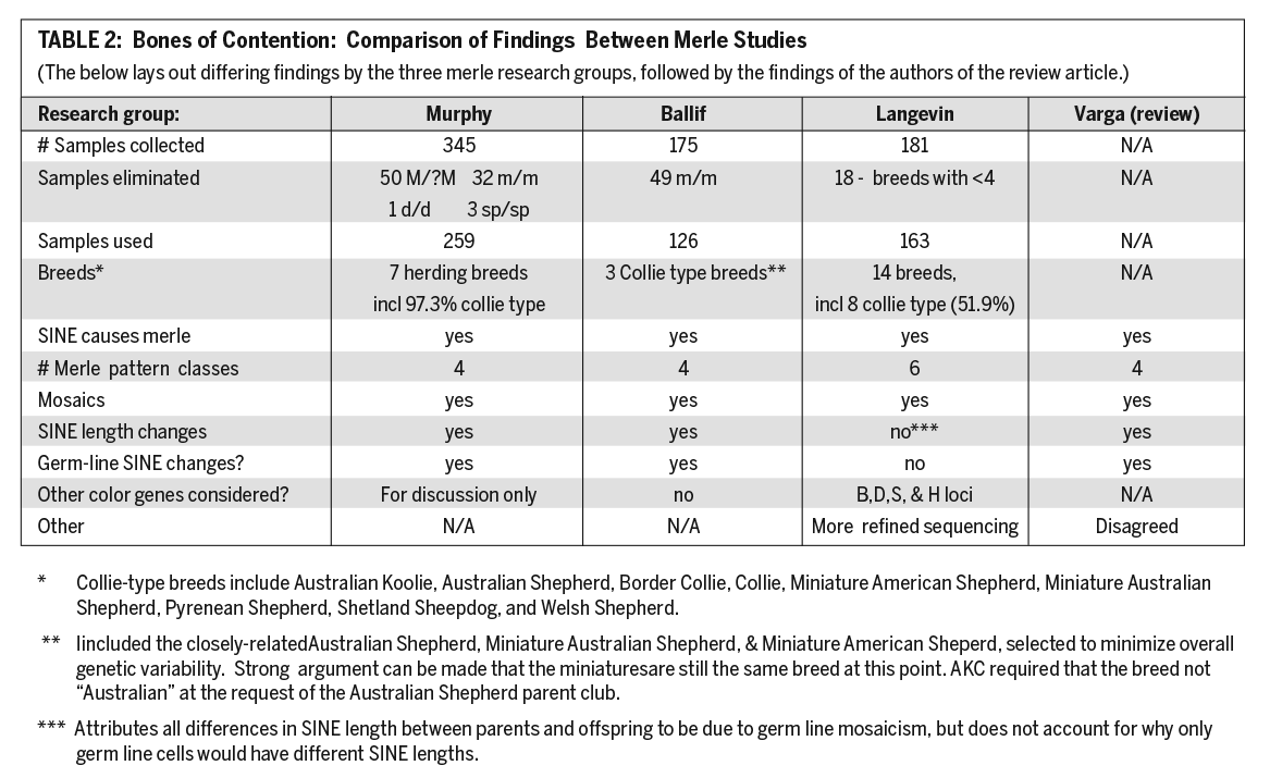Understanding Merle and the Science Behind It - Australian Shepherd ...
